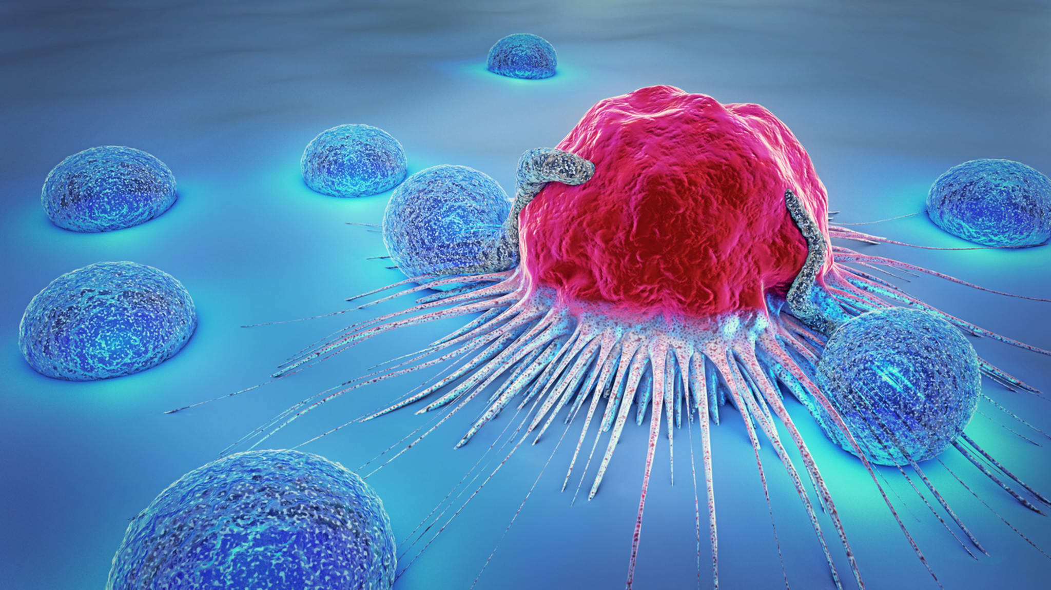 Tumor-initiierende Zellen per Sonde identifizieren - coliquio
