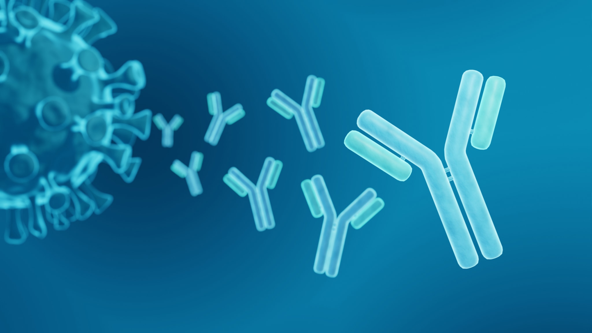 Covid-19: Passagere Autoantikörper könnten Myokarditis nach mRNA ...