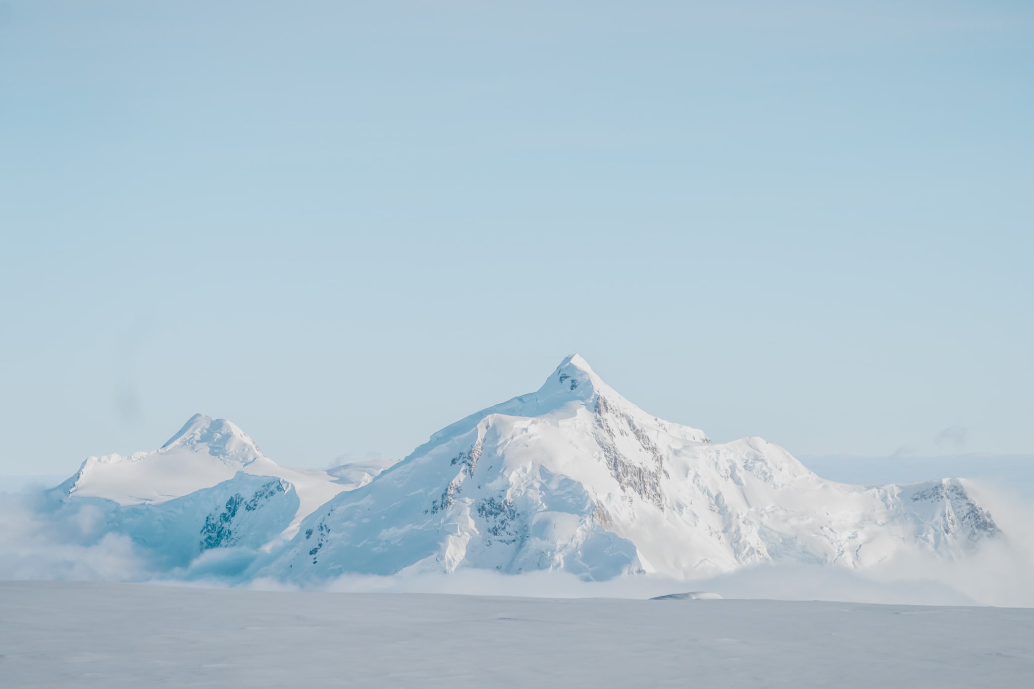 Alaskapocken-Virus: Erstmals ein Mensch gestorben